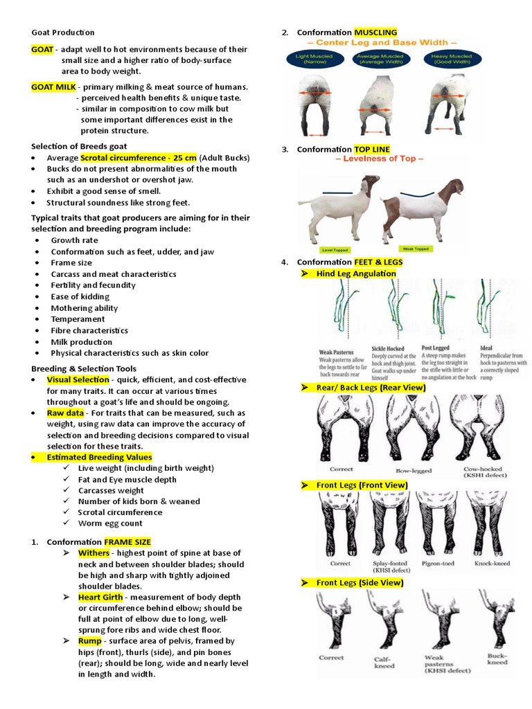 Goat Production | PDF | Goat | Milk