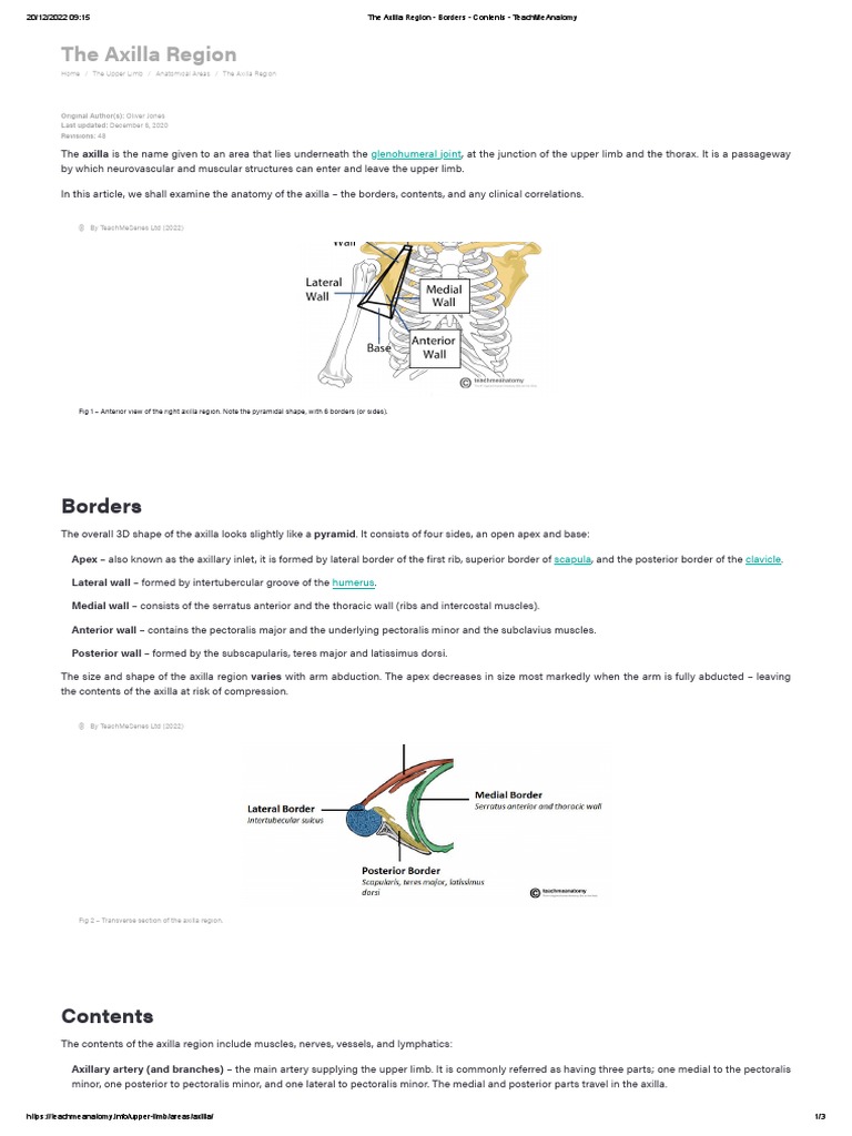 The Axilla Region - Borders - Contents - TeachMeAnatomy | PDF | Arm ...
