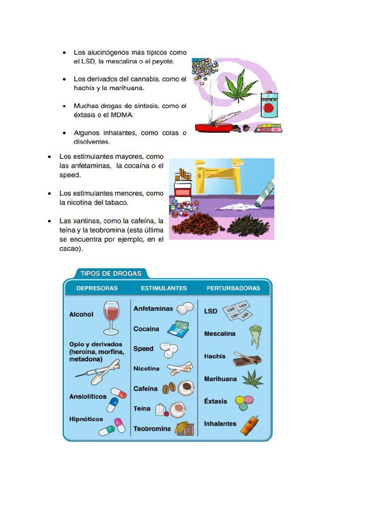 Tipos de Drogas | PDF