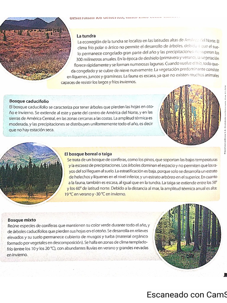 Material de Biomas 1° Año | PDF