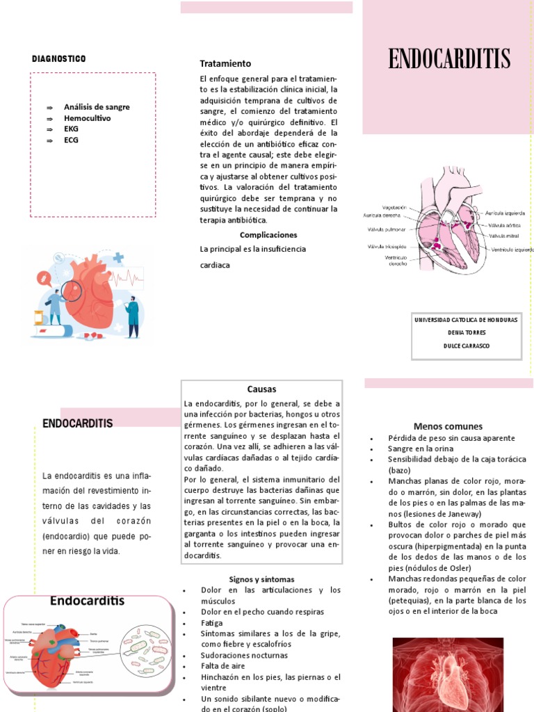 ENDOCARDITIS | PDF | Medicina CLINICA | Especialidades Medicas