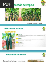 Ficha Técnica del Insecticida Cynoff CE | PDF | Agua | Vómitos