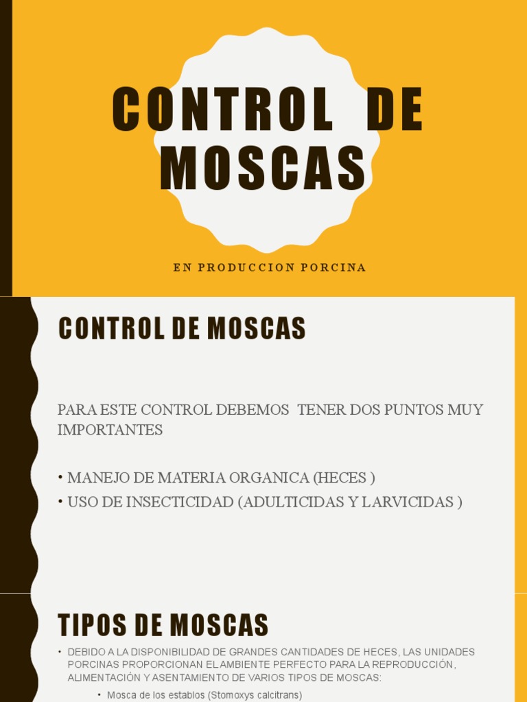 Control y Prevencion de Moscas | PDF