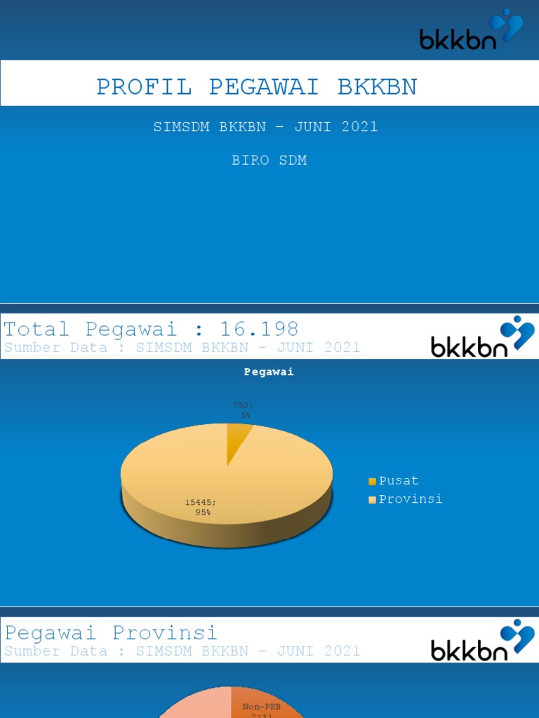 Profil Pegawai BKKBN: Simsdm BKKBN - Juni 2021 Biro SDM | PDF