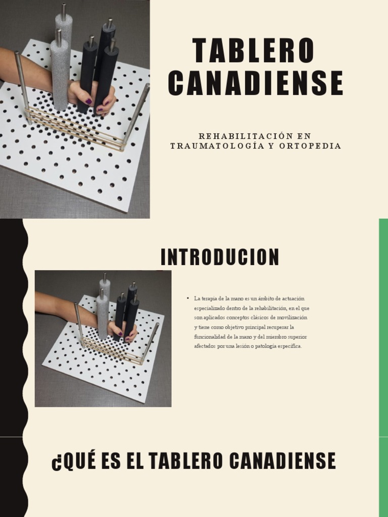 Tabla Canadiense | Descargar gratis PDF | Músculo | Articulación
