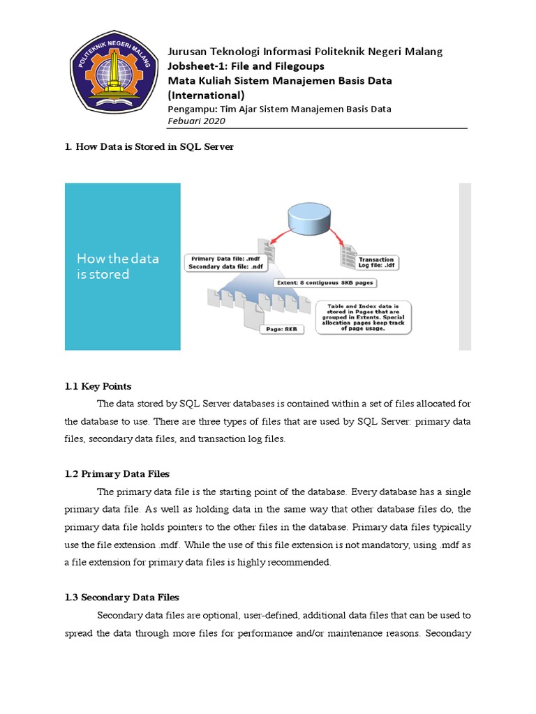 Jobsheet 2 | PDF | Databases | Microsoft Sql Server