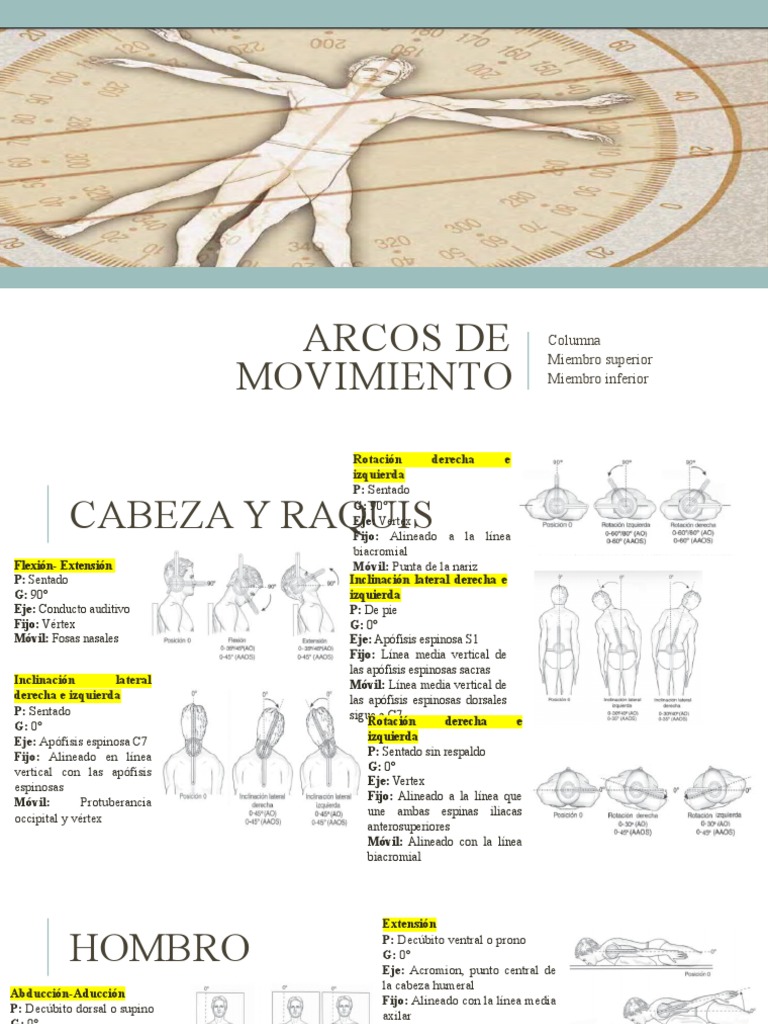 Arcos de Movimiento: Columna Miembro Superior Miembro Inferior | Descargar gratis PDF | Tobillo ...
