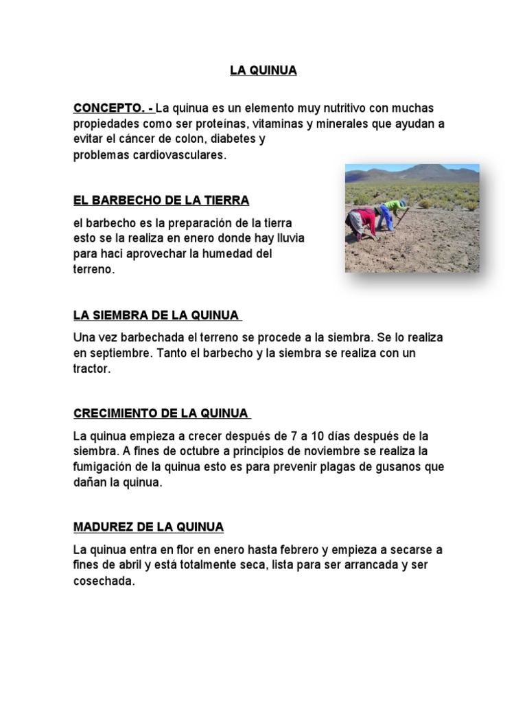 Concepto y Cultivo de la Quinua | PDF | Quinua | Nutrición