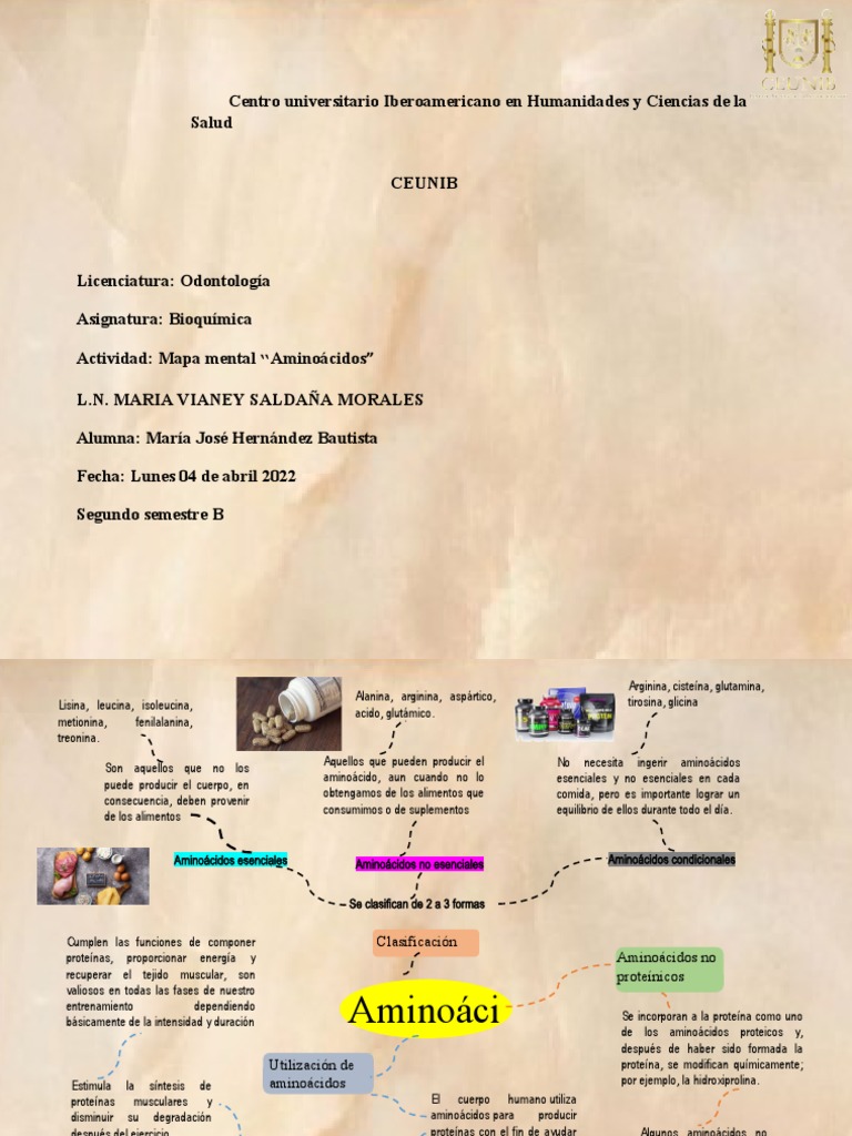 Mapa Mental Bioquimica 2 | PDF | Aminoácidos | Proteínas