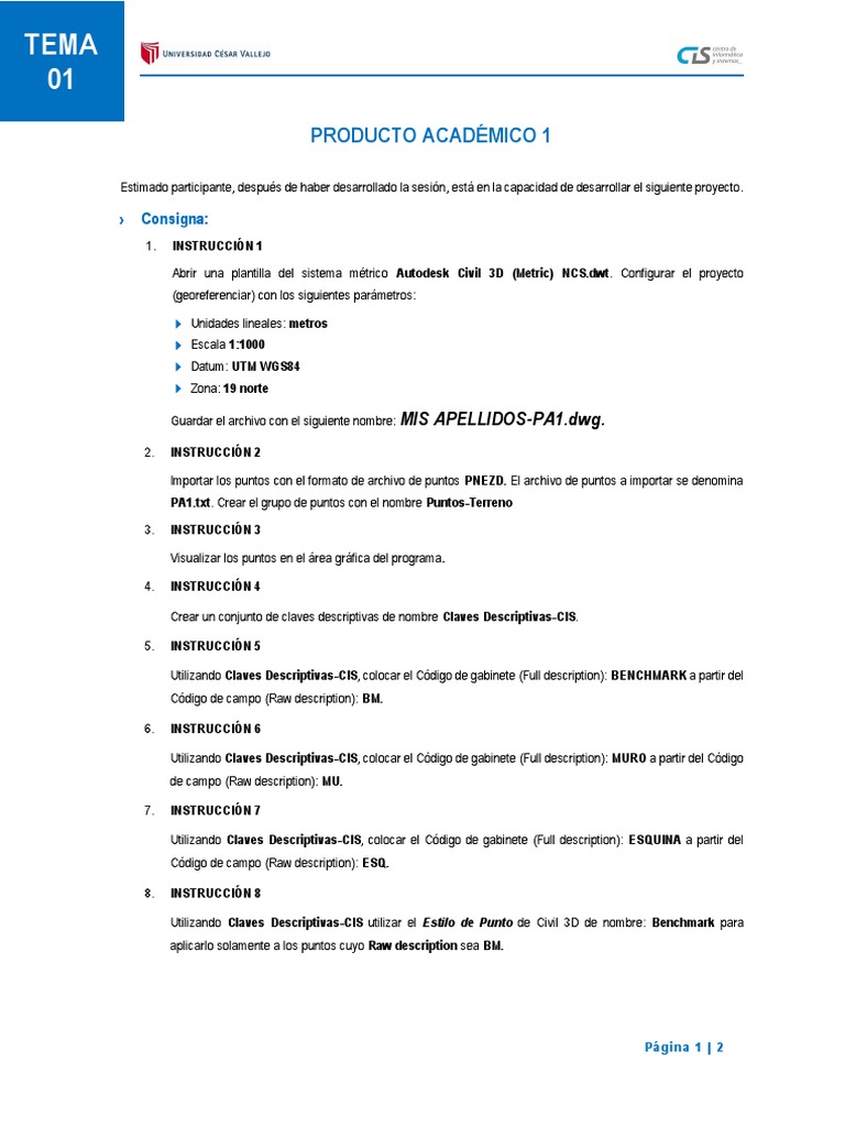 Producto Académico 1 | PDF | Informática | Software