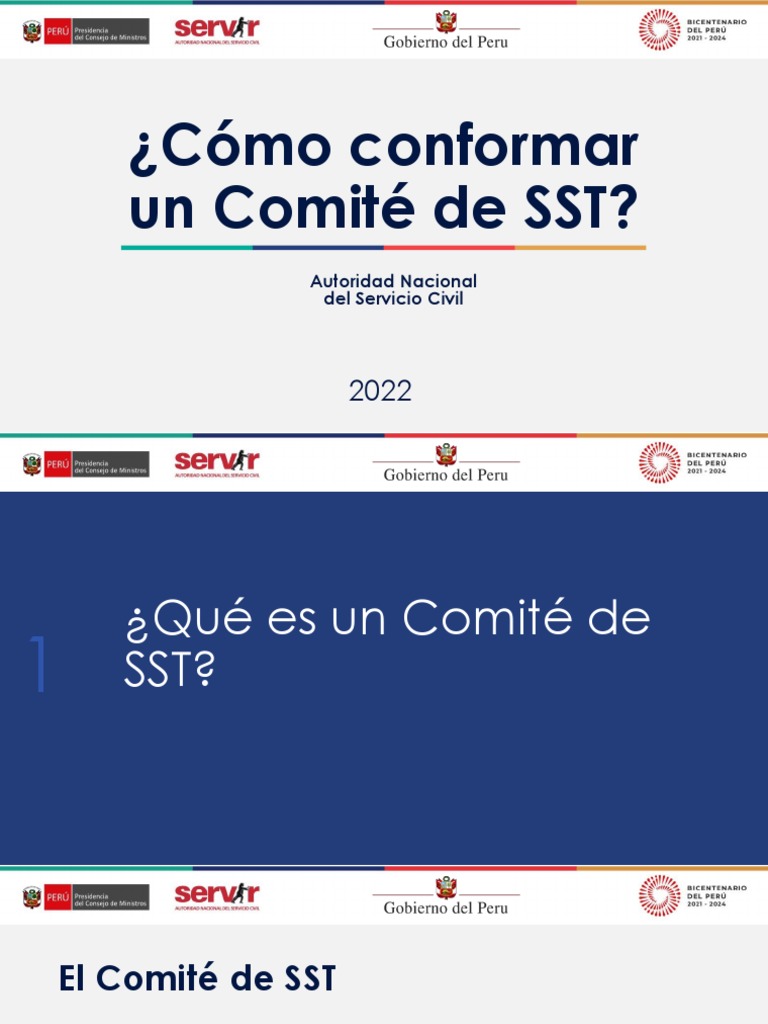 Conformación del Comité de SST | PDF