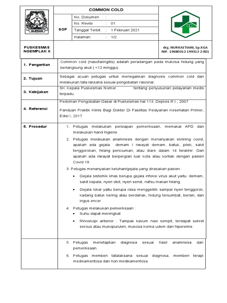 Contoh Common Cold | PDF