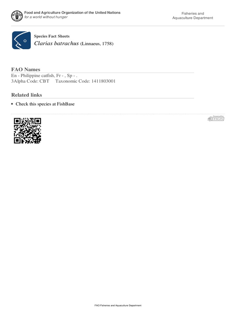 FAO Fisheries & Aquaculture - Species Fact Sheets - Clarias Batrachus ...