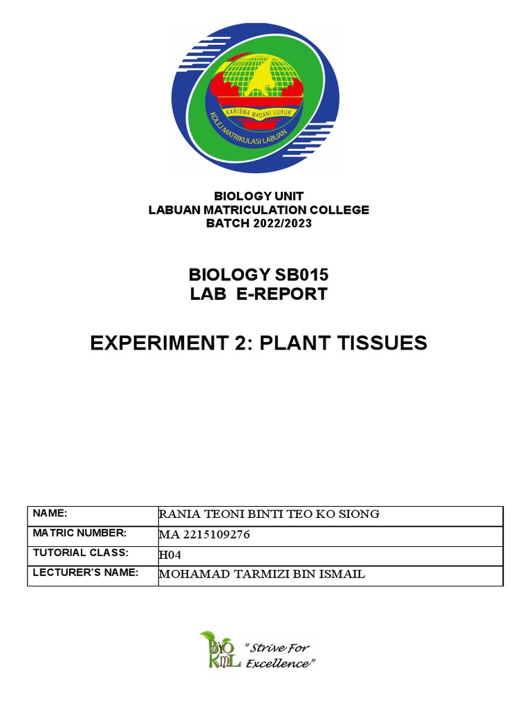 Experiment 2: Plant Tissues: Biology Sb015 Lab E-Report | PDF | Tissue ...