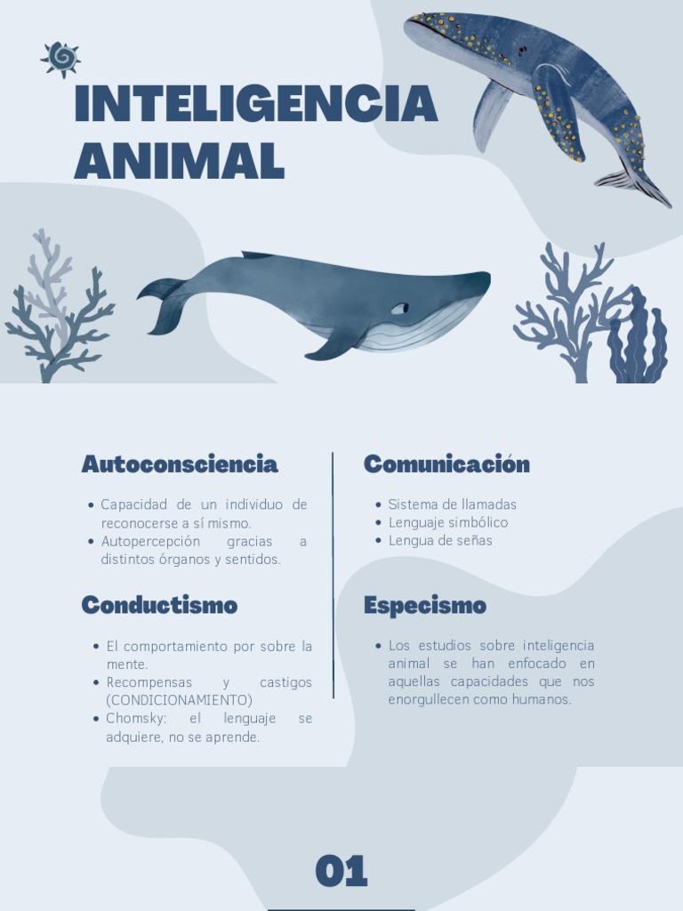 Inteligencia Animal | PDF | Homo Sapiens | Aprendizaje