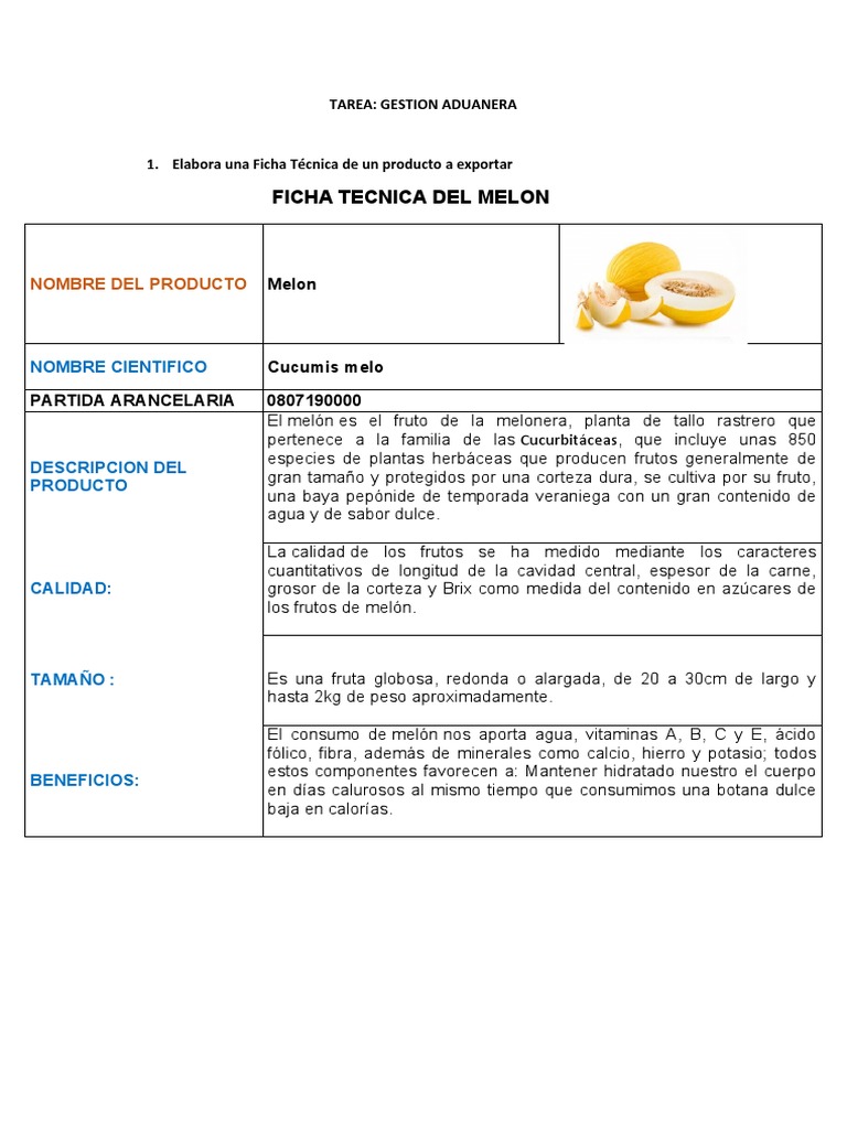 Ficha Tecnica Del Melon | PDF