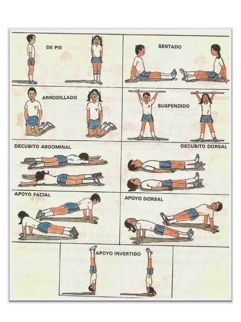 Posiciones Anatomicas | PDF