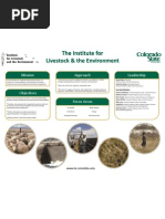 2 Chester Zoo Organisational Structure | PDF | Wellness