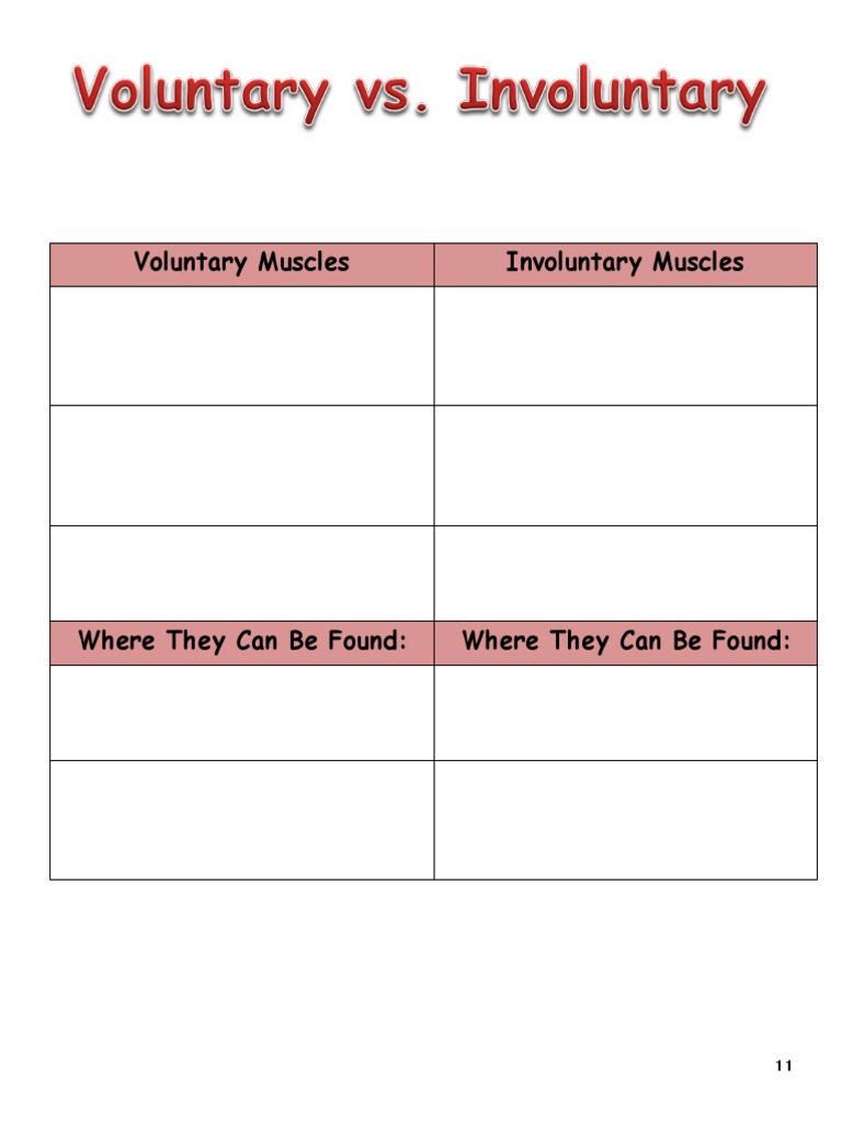 “Voluntary vs. Involuntary” worksheet | PDF