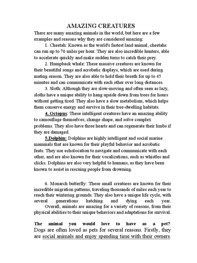 Amazing Animals | PDF | Zoo | Dolphin