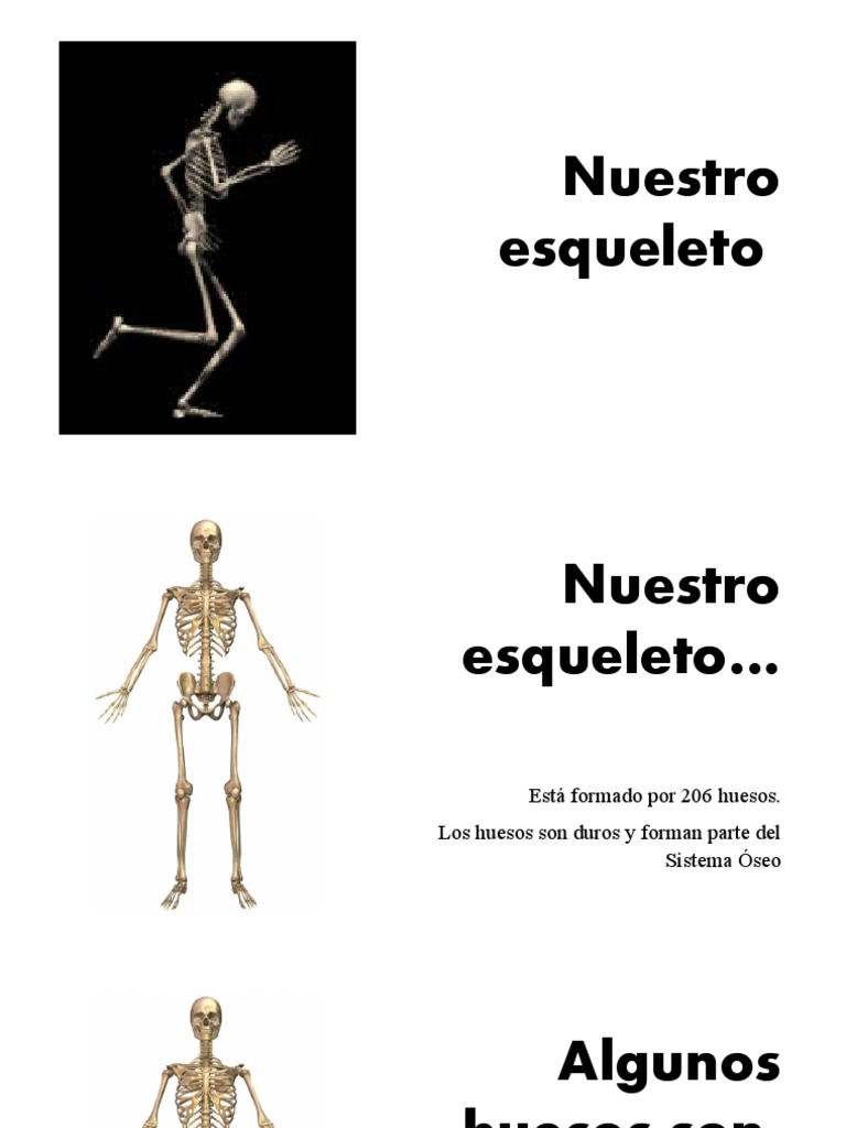 El Esqueleto Resumen General | PDF
