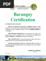 RSBSA Barangay Certificate | PDF