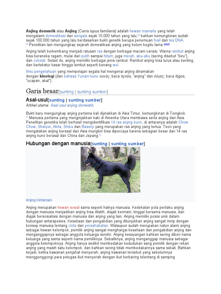 Sejarah dan Hubungan Anjing-Manusia | PDF