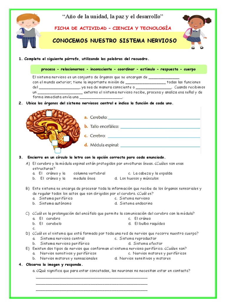 Ficha-Mart - Cyt-Conocemos Nuestro Sistema Nervioso-1 | PDF | Sistema nervioso | Cerebro
