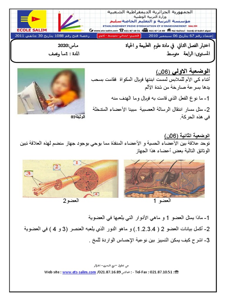 Dzexams 4am Sciences 826933 | PDF