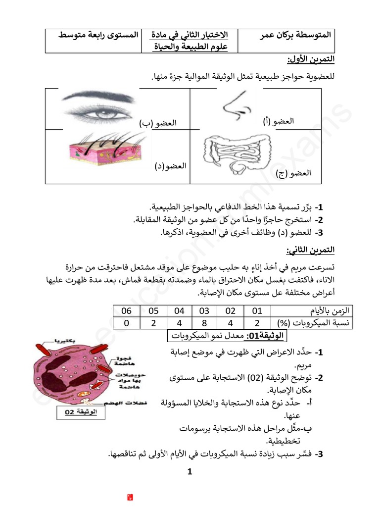 Dzexams 4am Sciences 1562428 | PDF