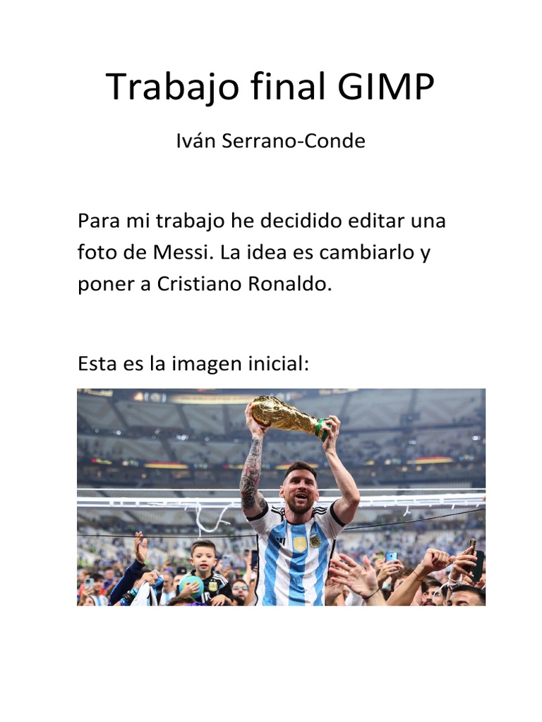 Trabajo Final GIMP Iván Serrano | PDF