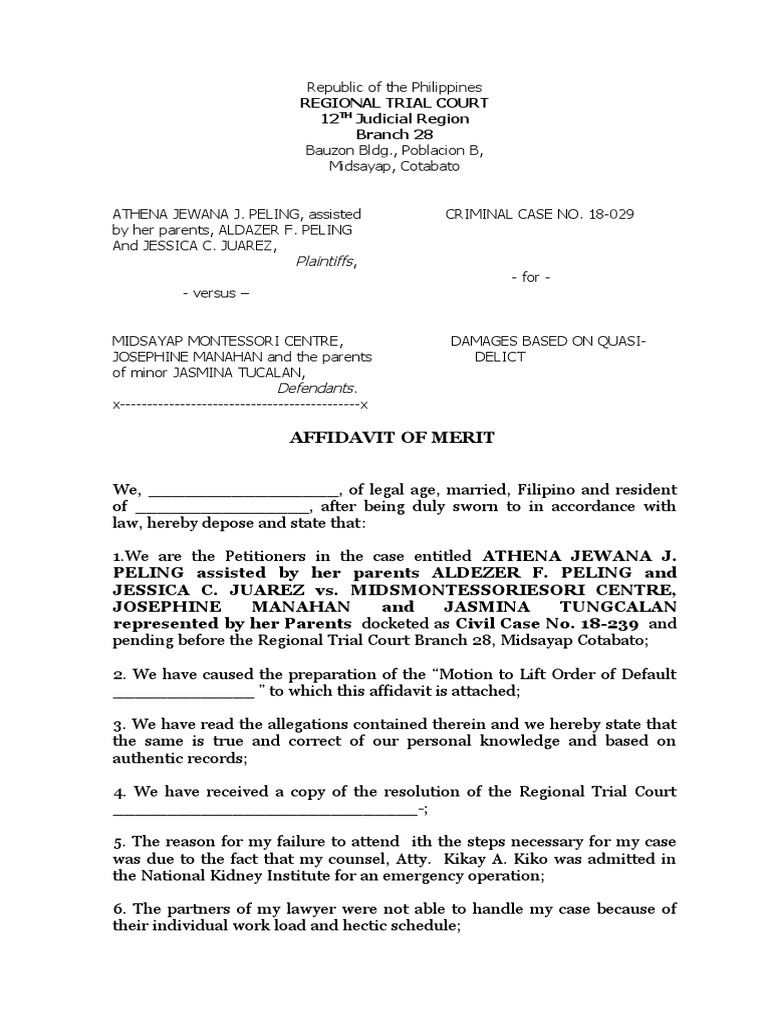 Affidavit of Merit: Regional Trial Court 12 Judicial Region Branch 28 | PDF | Affidavit | Lawsuit
