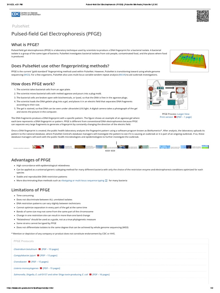 Pulsed-Field Gel Electrophoresis (PFGE) - PulseNet Methods - PulseNet ...