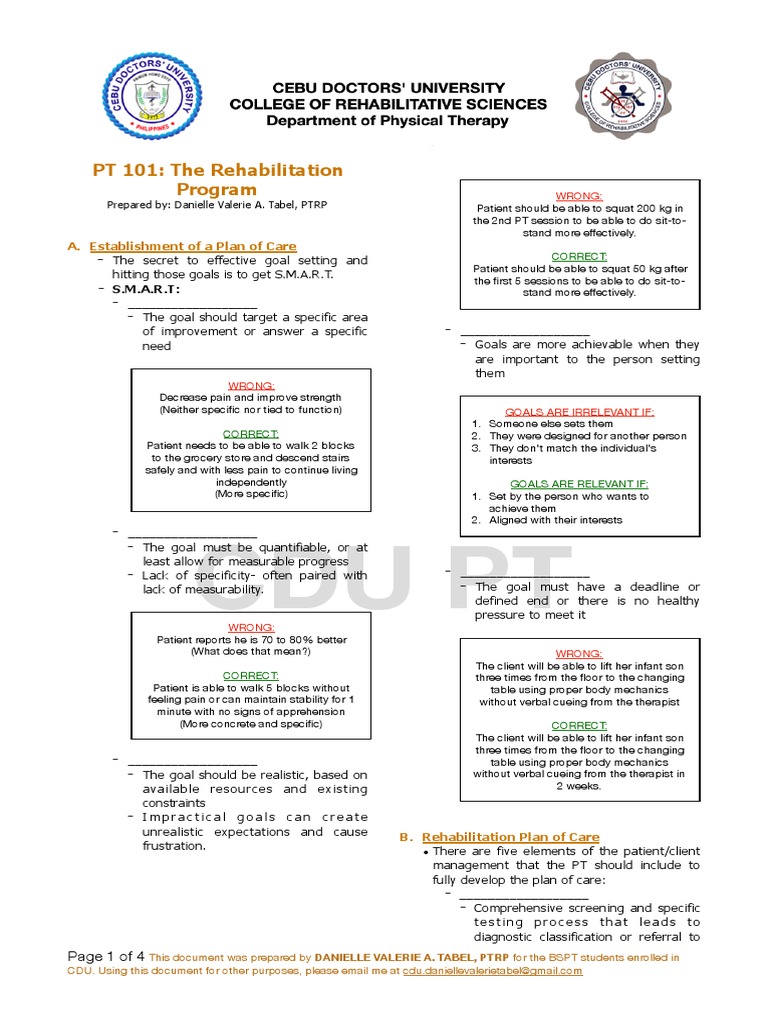 The Rehabilitation Program | PDF | Physical Therapy | Weight Training