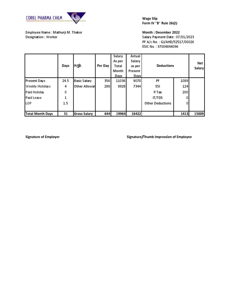 Wage Slip Format | PDF