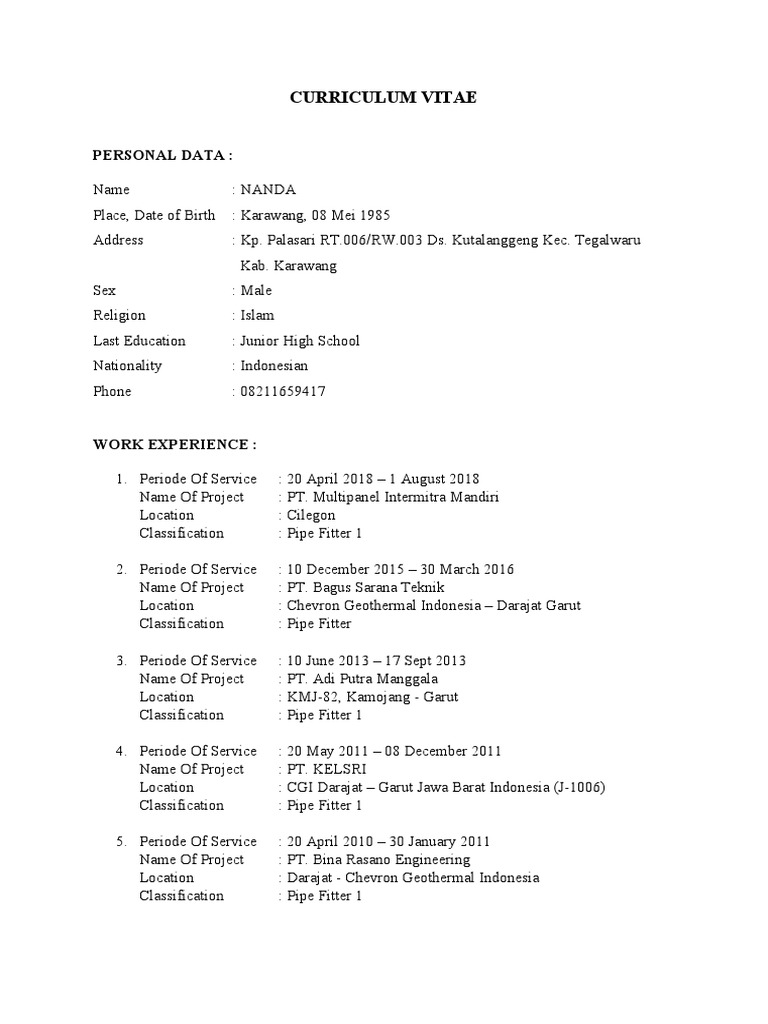 Curriculum Vitae Nanda | PDF