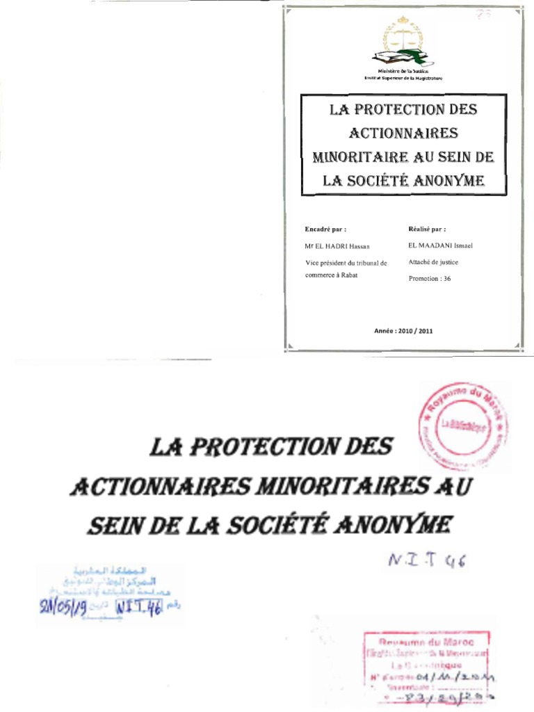La Protection Des Actionnaires Minoritaires Au Sein de La Société ...