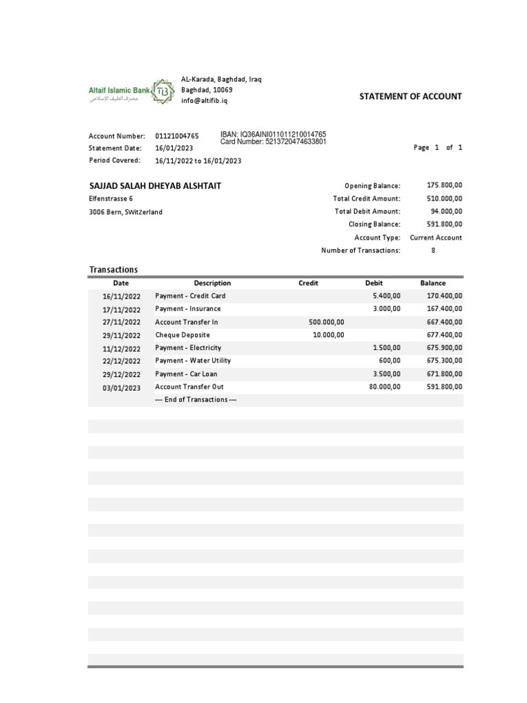 Statement of Account: Transactions | PDF | Business