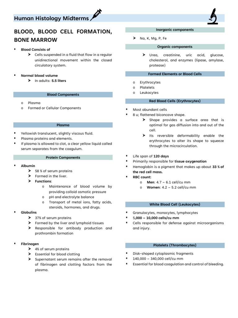 Blood Cell Formation in Bone Marrow | PDF | Bone Marrow | Haematopoiesis