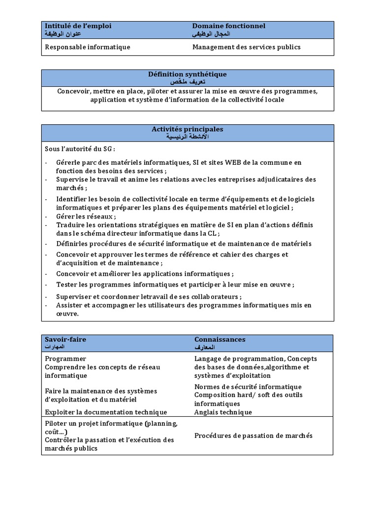 06 FICHE-Responsable Informatique | PDF | Informatique | Application