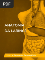 Anatomia da Laringe: Estruturas e Funções | PDF | Laringe | Anatomia humana
