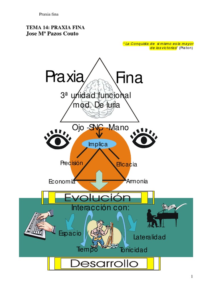 Tema 14 Praxia Fina | PDF | Hemisferio cerebral | Percepción