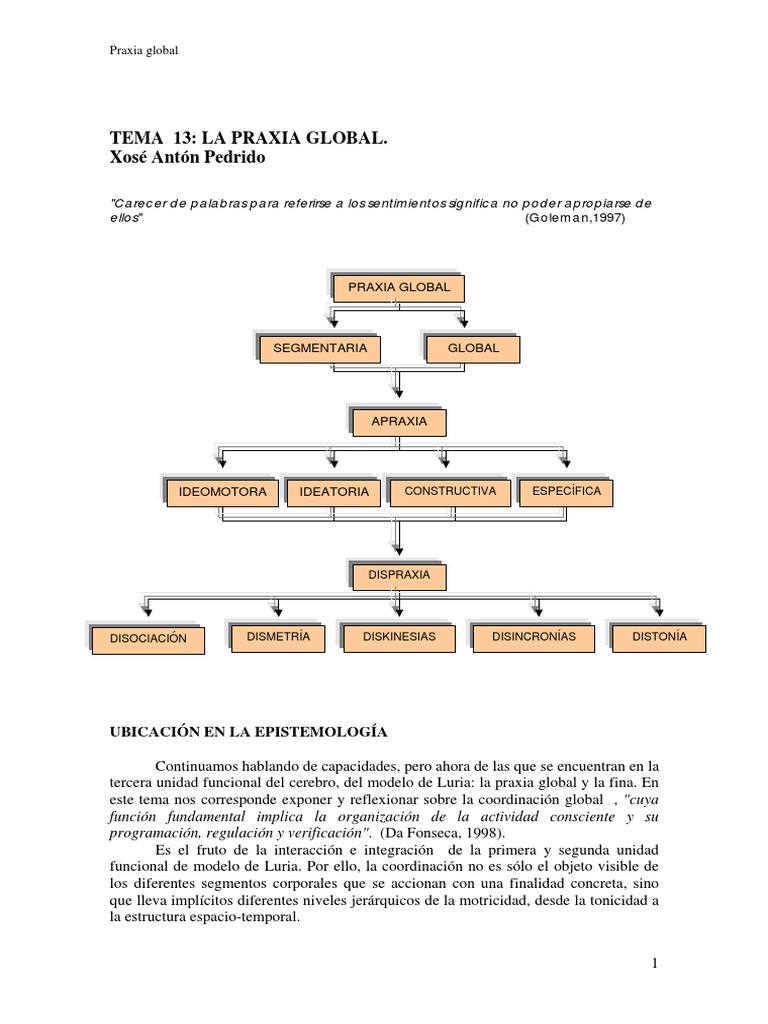 23 Praxia Global | PDF | Aprendizaje | Percepción