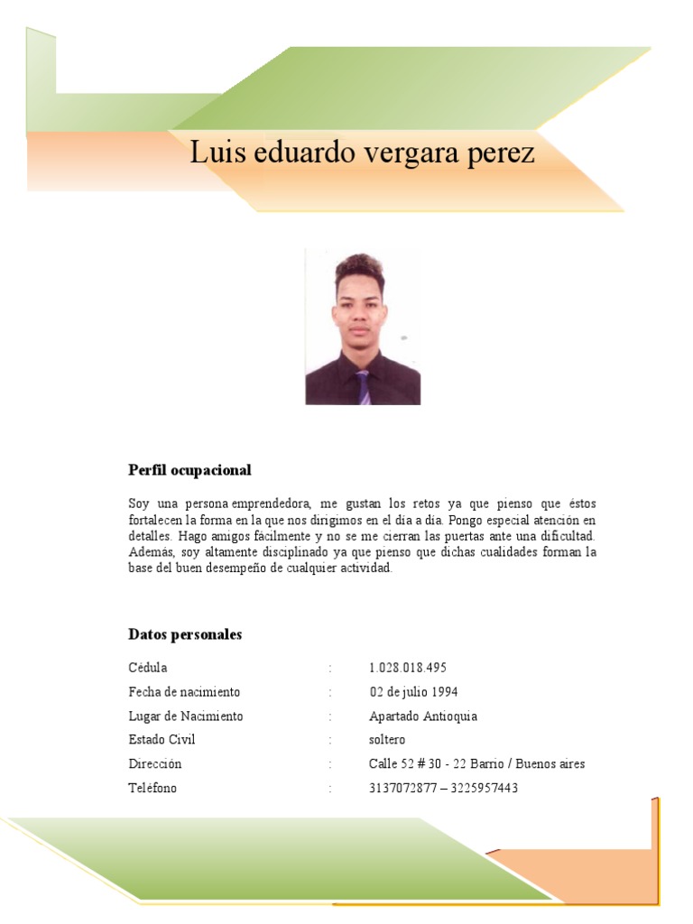 HOJA DE VIDA Luis Eduardo | PDF