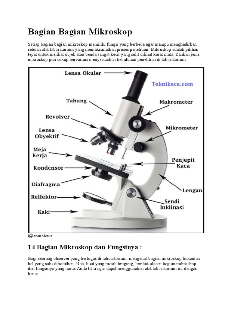 Bagian Bagian Mikroskop | PDF