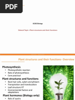 Grade 8 - Photosynthesis and Respiration (Notes) | PDF | Photosynthesis ...