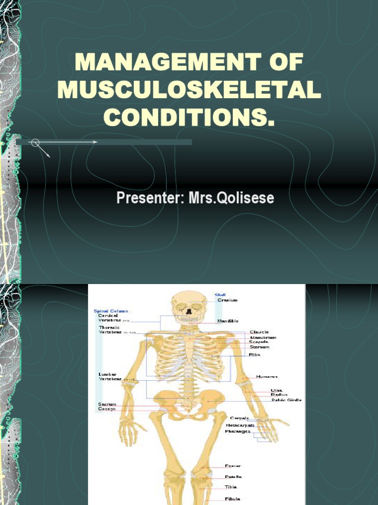 Management of Musculoskeletal Disorders[1] | Orthopedic Surgery | Human ...