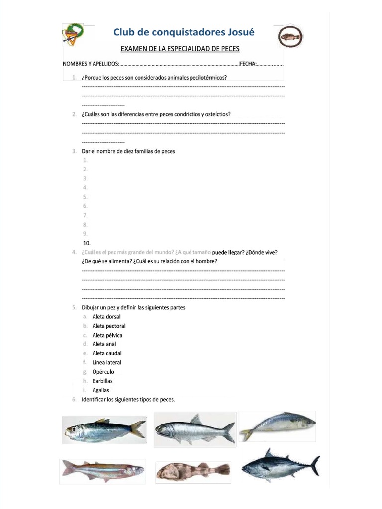 Examen Peces | PDF