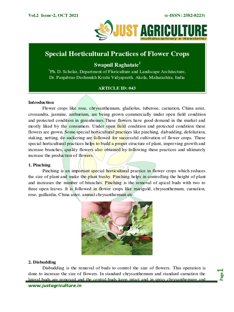 Special Horticultural Practices of Flower Crops: Swapnil Raghatate | PDF | Mulch | Pruning