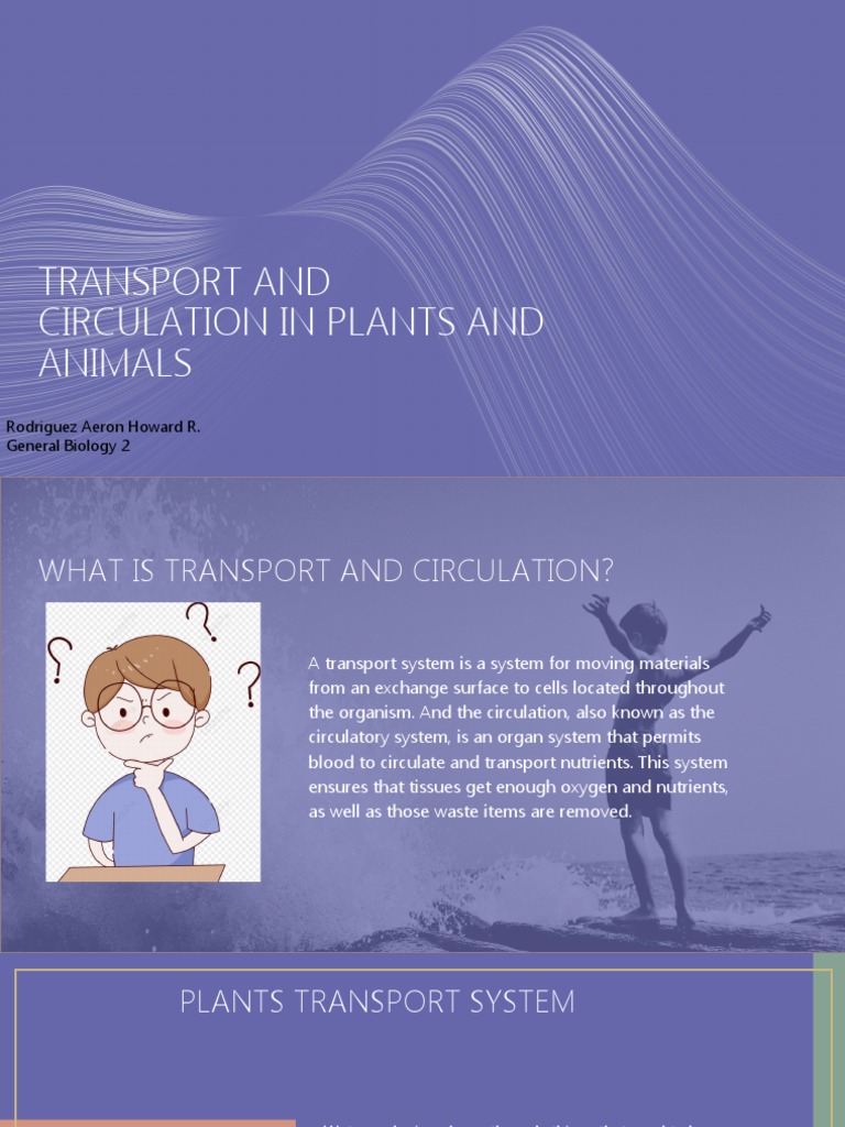 Transport and Circulation in Plants and Animals | PDF | Heart | Artery